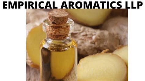 Ginger Oleoresin At ₹ 2350kg Spice Oils In Noida Id 26491811755