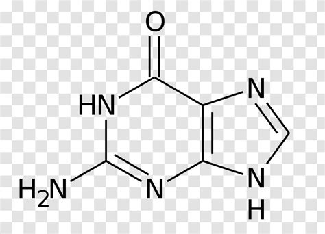 Tea Theobromine Poisoning Chocolate Cocoa Bean Structure Formula Tea Theobromine Poisoning Chocolate Cocoa Bean Structure Formula