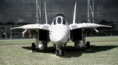 Grumman F 14 Tomcat фото