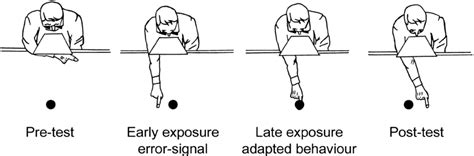 2 The Four Phases Of The Prismatic Adaptation Procedure The Pre Test Download Scientific