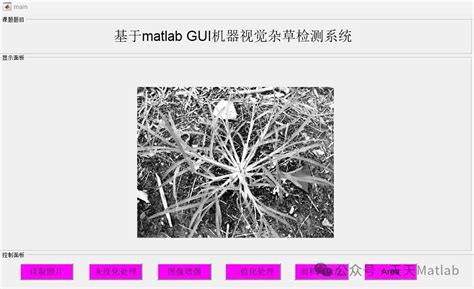 【杂草检测】基于机器视觉的杂草检测系统附matlab代码怎样实现杂草自动识别和定位清除 Csdn博客