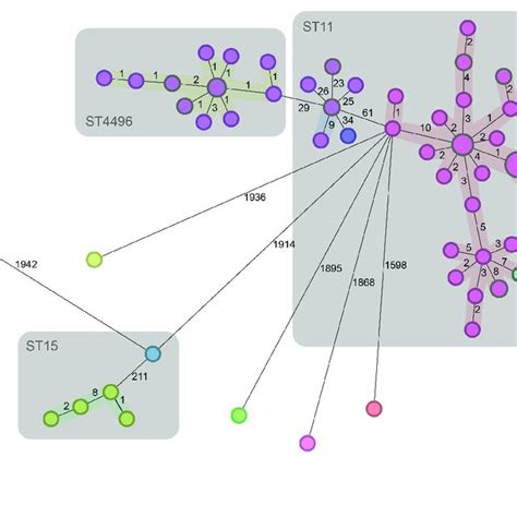 Minimum Spanning Tree Based On The Cgmlst Profiles Of Contemporaneous Download Scientific