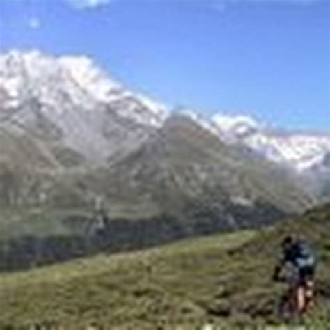 Daniel Bearden Youtube