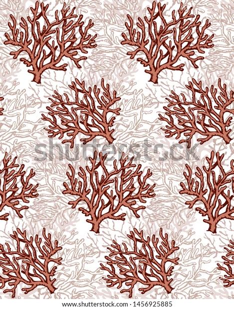 Deep Old Invertebrate Anthozoa Cnidaria Polyp Stock Vector Royalty Free 1456925885 Shutterstock