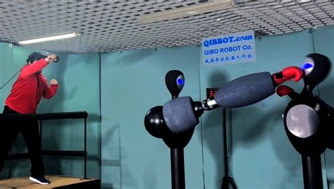 Humans And Ai Fight It Out In The Ring Via Robots Ieee Spectrum