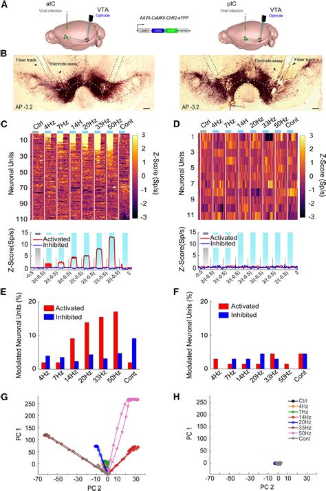 Top Down Circuitry From The Anterior Insular Cortex To Vta Dopamine Neurons Modulates Reward
