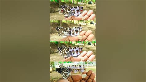 සමනලයා🦋🦋 Youtube