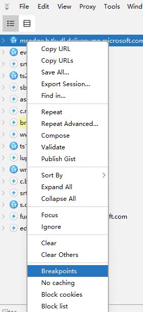 Charles Proxy 安装配置教程 Windows系统完整指南
