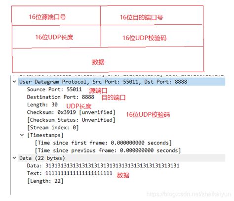 Wireshark分析udp协议 Csdn博客