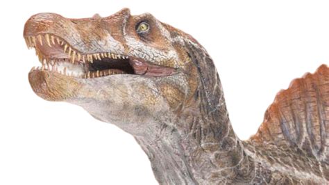 Spinosaurus Jp3 Png By Jakeysamra On Deviantart