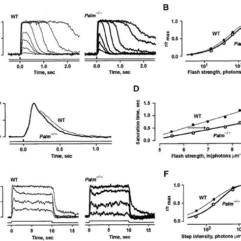 Two Dimensional Model Of Wt Mouse Rod Opsin Download Scientific Diagram