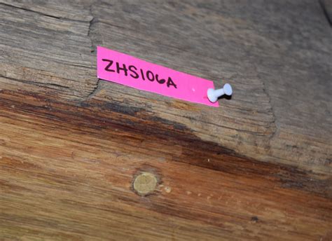 TREE RING DATING SERVICE HISTORIC TIMBERS DENDROARCHAEOLOGY