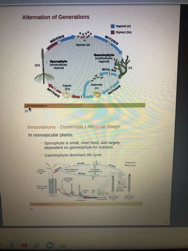 Biology 2 Flashcards Quizlet