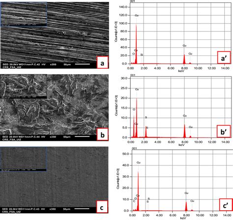 Sem Image And Eds Spectrum Of The Copper Surface After 24 H A A Download Scientific