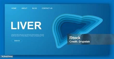 간 3d 종이 컷 웹 사이트 템플릿 간염 종이는 그림을 잘라냅니다 방문 페이지 광고 페이지에 대한 장기 해부학 기호 간염에 대한 스톡 벡터 아트 및 기타 이미지 Istock