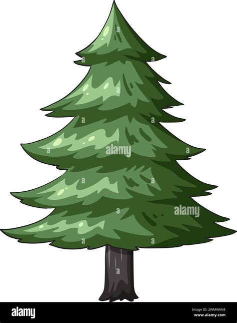 Vector Graphic Of A Vibrant Evergreen Pine Tree Stock Vector Image