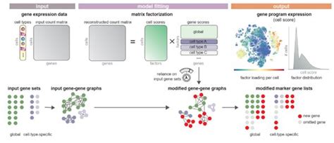 Alfonso Saera Vila On Linkedin Singlecell Bioinformatics Spectra Geneexpression Cellbiology…