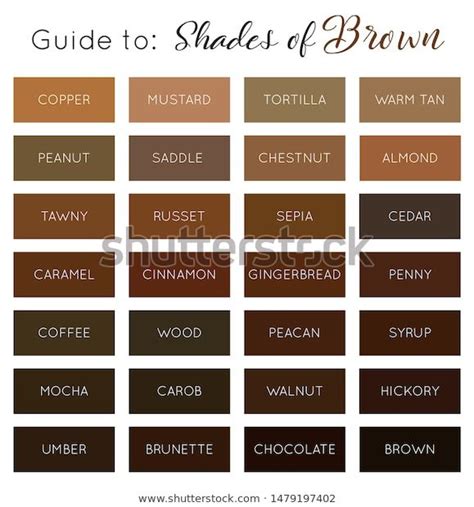 100 Shades Of Brown Color Names Hex Rgb Cmyk Codes In 46 Off