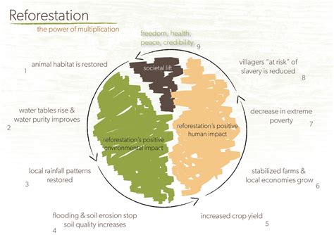 Graphs And Tables Reforestation