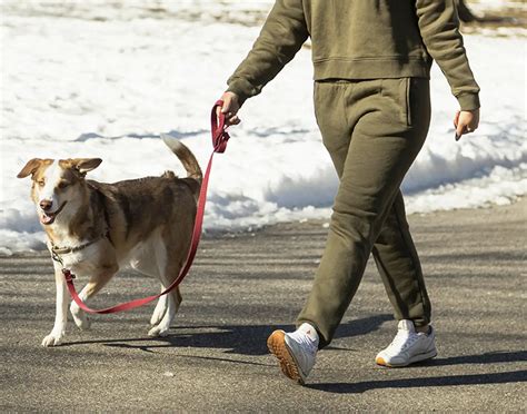 Toe Fusion Surgery Treatment Recovery And Long Term Impact