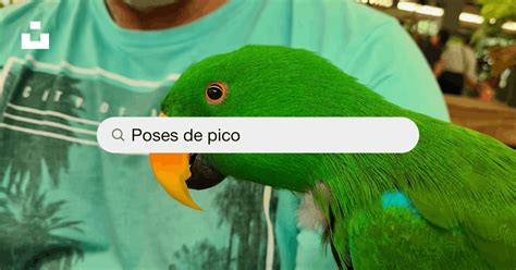 Imágenes De Poses De Pico Descarga Imágenes Gratuitas En Unsplash