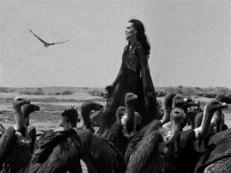 Khajistan Presents The State Funded State Censored Cinema Of Jamil Dehlavi Events