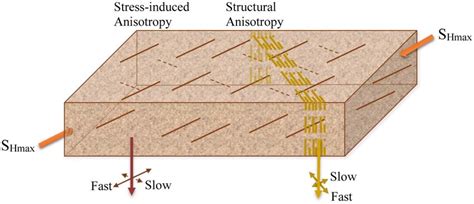 Stress Induced And Structural Anisotropy Download Scientific Diagram