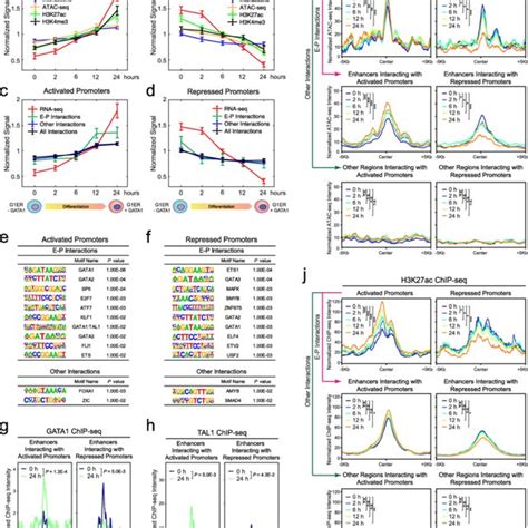 Multiplexed Capture Of Erythroid Super Enhancers A Schematic Of The