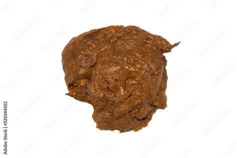 Poop Isolated On White Backgroundshit On A White Backgroundhuman