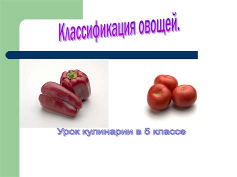 Классификация овощей презентация онлайн