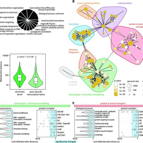 Mohammad Tauqeer Alam Assistant Professor Phd United Arab