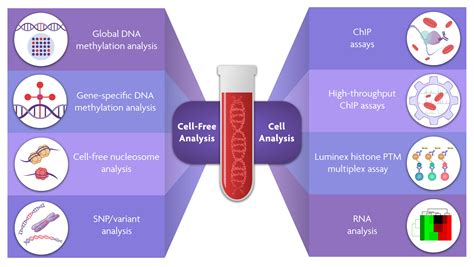 Enabling Epigenetic Analysis Of Liquid Biopsy Samples