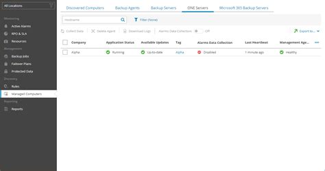 Viewing And Exporting Veeam ONE Server Details Veeam Service Provider Console Guide For End Users