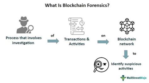 Blockchain Forensics What It Is Techniques Examples
