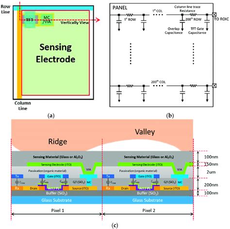 A Top View Of The Self Capacitance Type Sensor Pixel Structure B Download Scientific