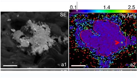 Scientists Use Carbon To Detect New Nitrogen Source In Open Ocean Mirage News