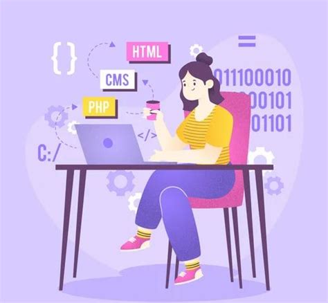 core php laravel codeigniter support starter plan at rs 27600 day