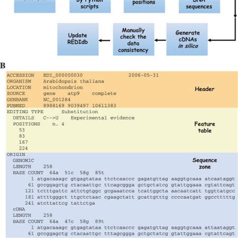 A Flow Diagram Of The Various Steps Used During Database Construction Download Scientific
