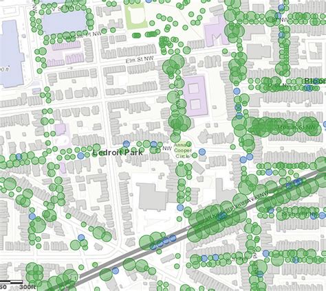 Urban Tree Management Our Experience In Indonesia Townland