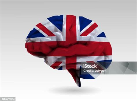 파란색 Bg에 영국 국기 오버레이 그림낮은 폴리 뇌 0명에 대한 스톡 벡터 아트 및 기타 이미지 0명 3차원 형태 Conservative Party Istock
