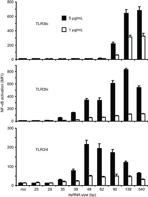 Activation Of Tlr3 Depends On Dsrna Size And Receptor Localization Download Scientific Diagram