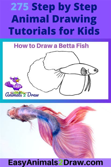 Learn How To Draw An Amazing Betta Fish With This Easy And Inspirational Step By Step Drawing