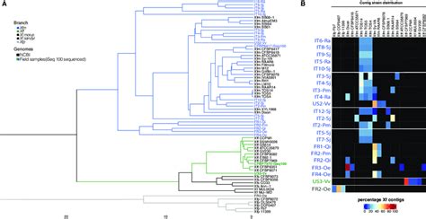 Metagenomics Analyses Of Field Sample Identifies Of Bacterial Download Scientific Diagram