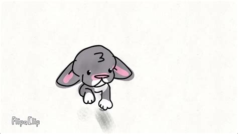 Cute Cat Loop 😄🐱 Cat Youtube