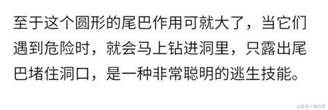 江蘇一農民耕地挖到「錢幣」，樂壞了，翻出來太驚悚了 每日頭條