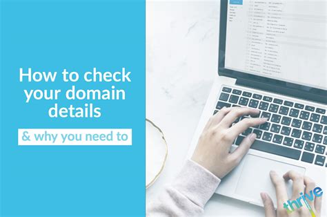 Checking Your Domain Details