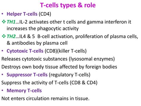 Clonal Selection Theory Pptx Infectious Diseases Diseases And Conditions Clonal Selection Theory Pptx Infectious Diseases Diseases And Conditions