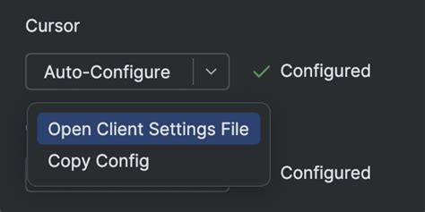 Mcp Server Jetbrains Rider Documentation
