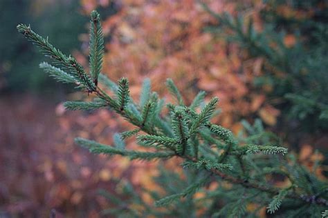 사막 표면의 Trex 고대 세계의 3d 그림 공룡 티라노사우루스 렉스 고화질 사진 사진 배경 일러스트 및 사진 무료 다운로드 Pngtree