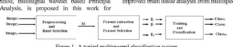 Figure 1 From Brain Tissue Classification From Multispectral Mri By Wavelet Based Principal